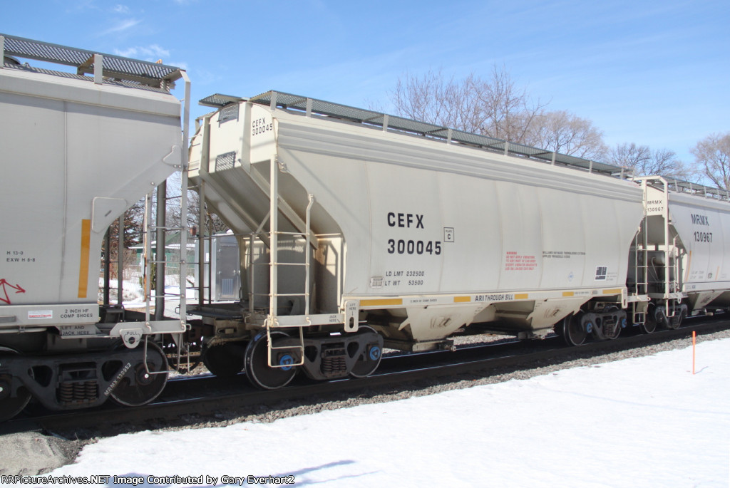 CEFX 300045 - CIT Group